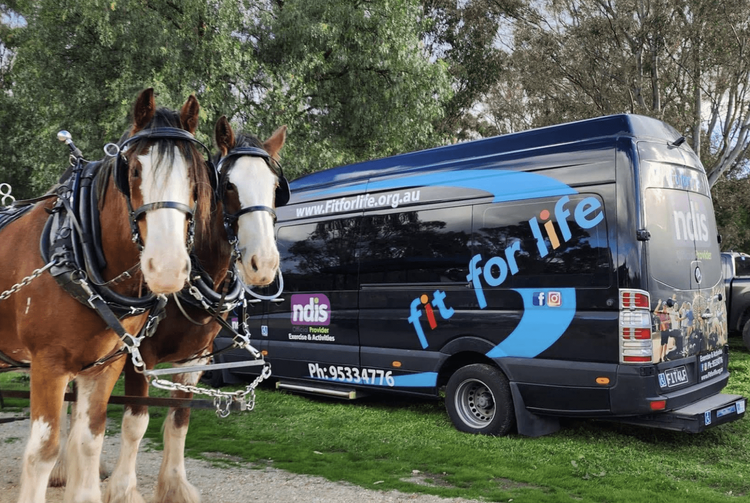 Your Mercedes Mechanics - Eurostar Diesels - Two Locations